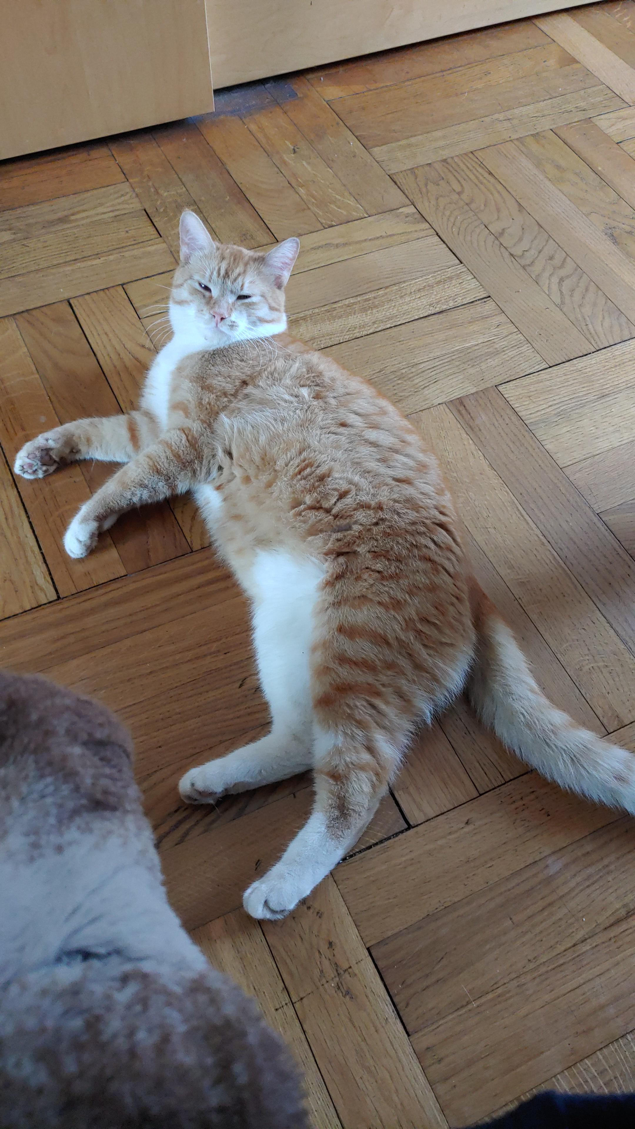 They grow up so fast | Scrolller