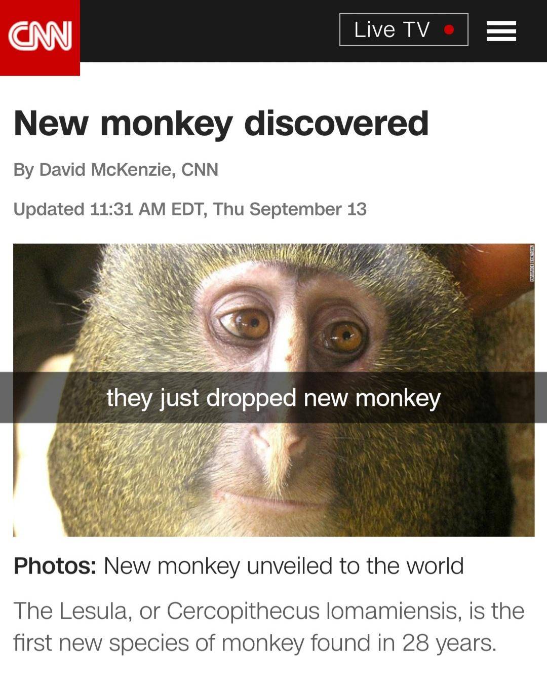 They just dropped new monkey!!! | Scrolller