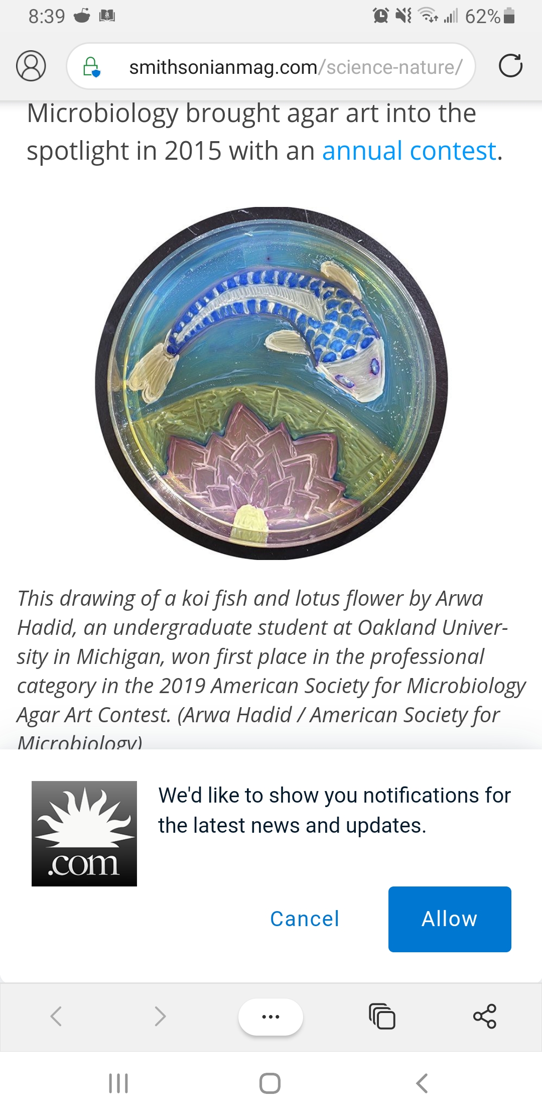 They made the design in a petri dish using bacteria | Scrolller