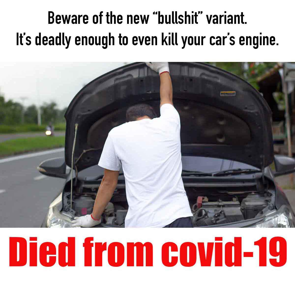 They will continue as long as you let them! | Scrolller