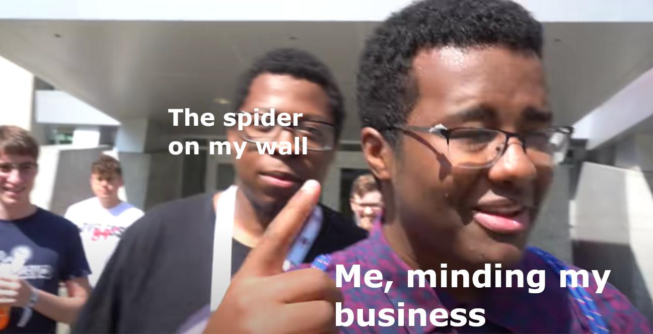 They're everywhere in here | Scrolller