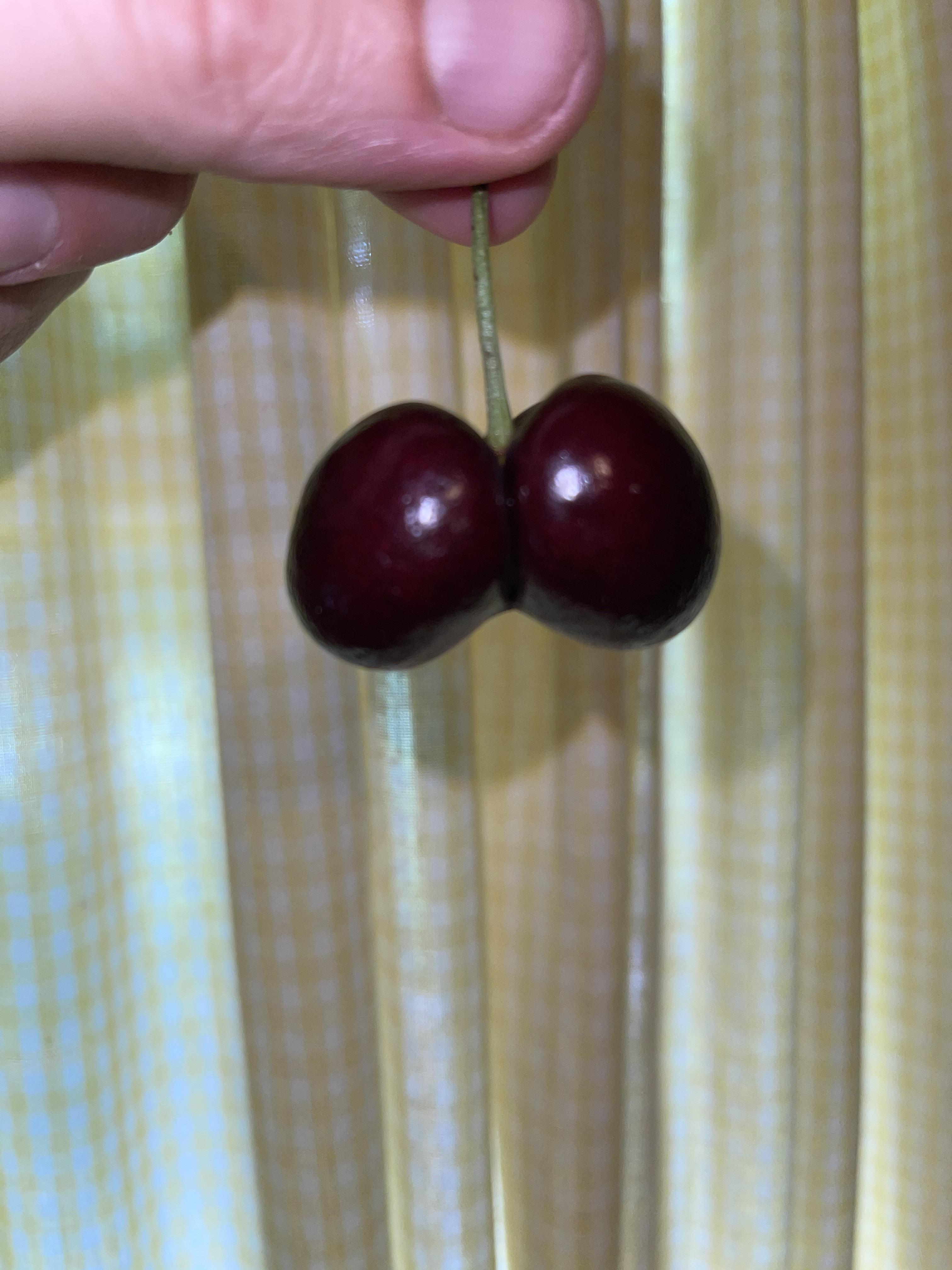 This cherry thick tho 🤔 | Scrolller