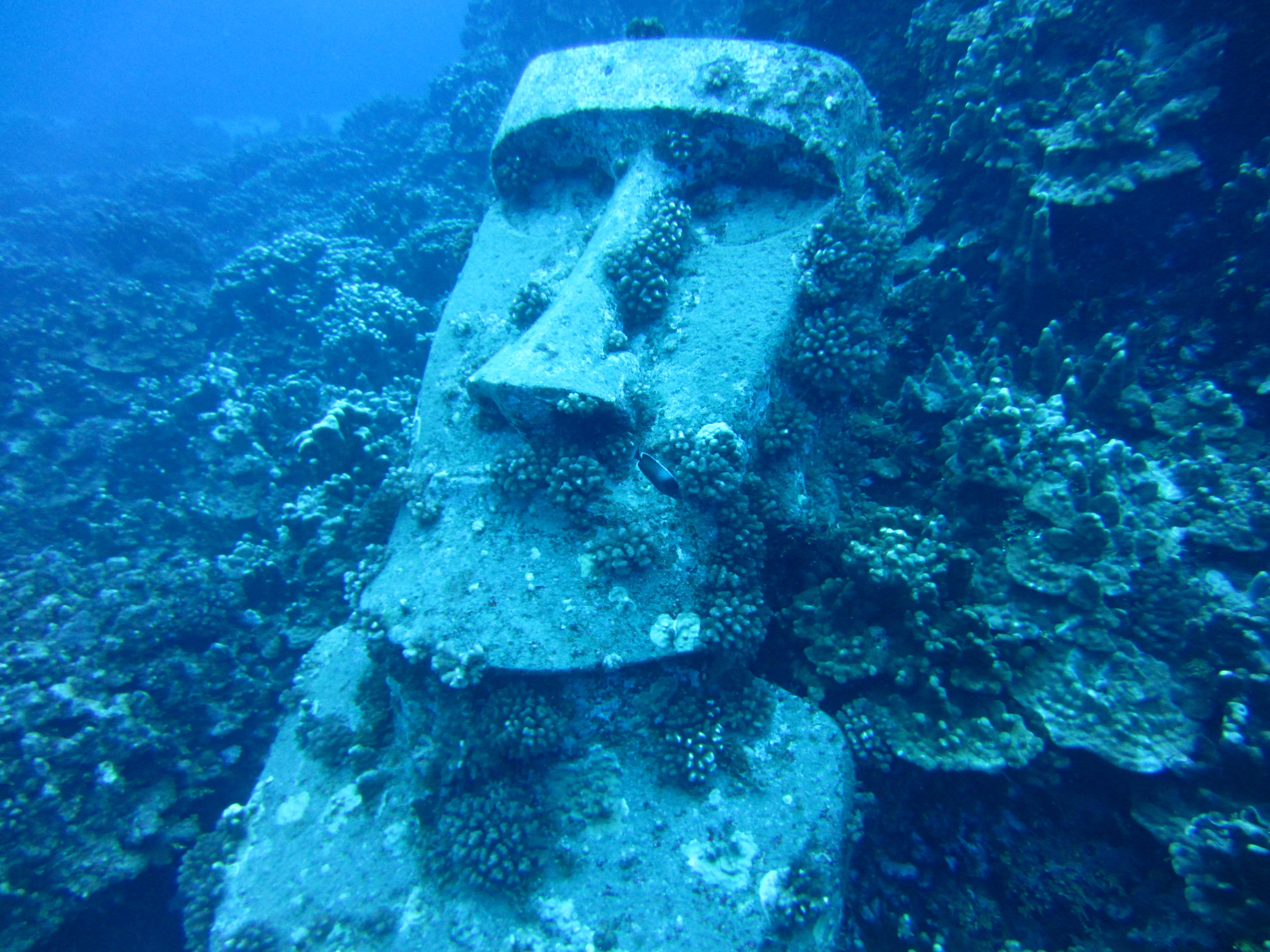 This deep sea moai | Scrolller