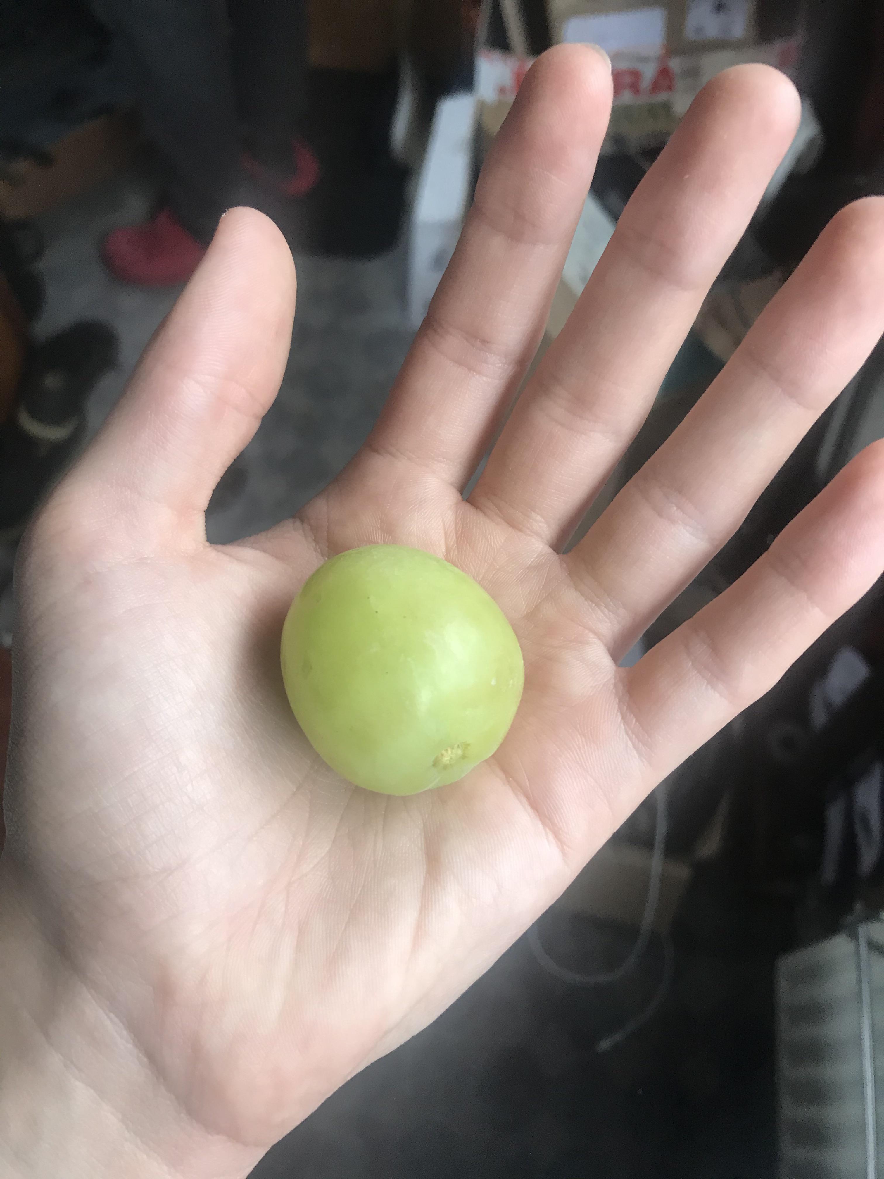This delicious unit of a grape | Scrolller