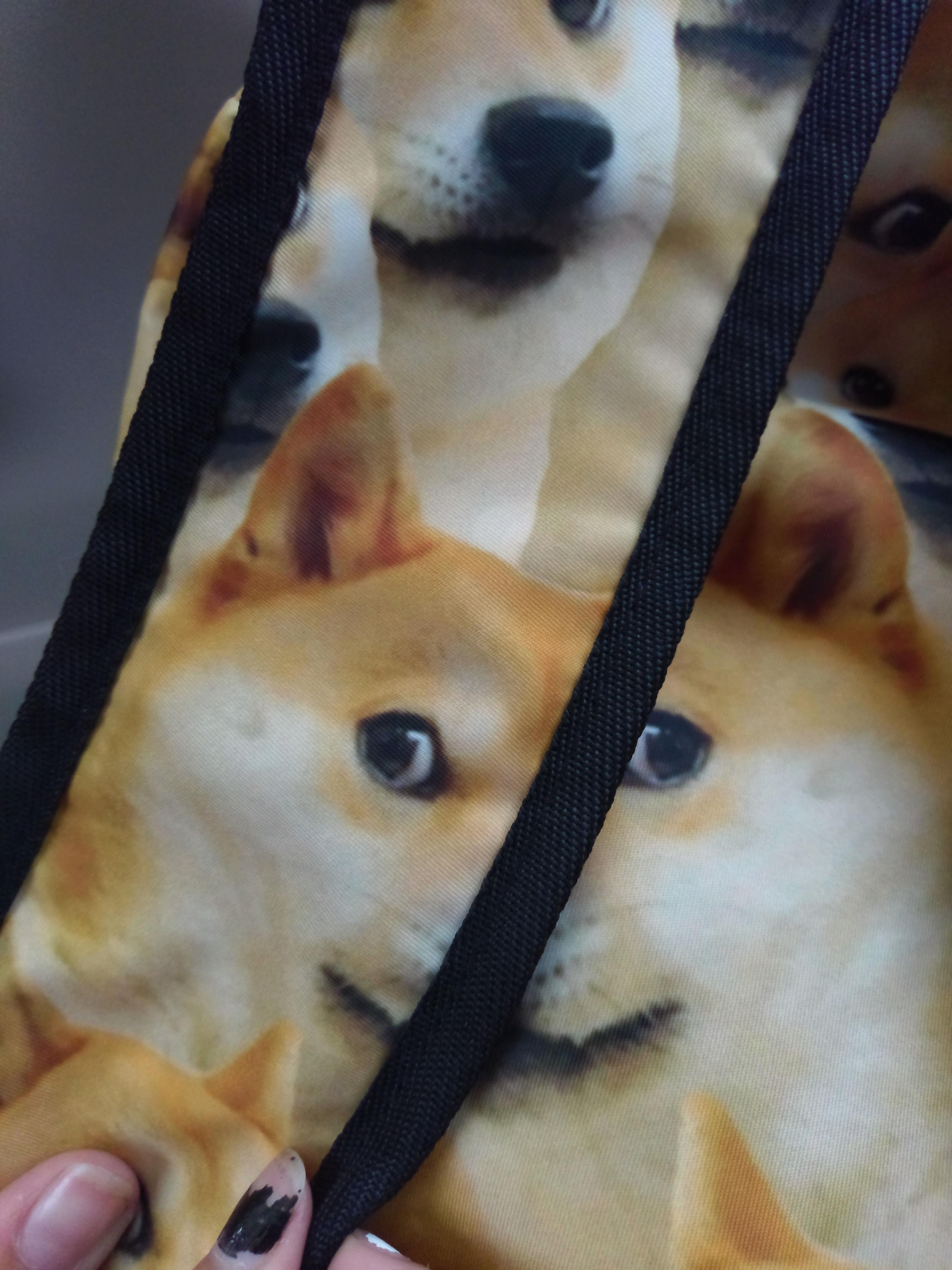 This doge backpack | Scrolller