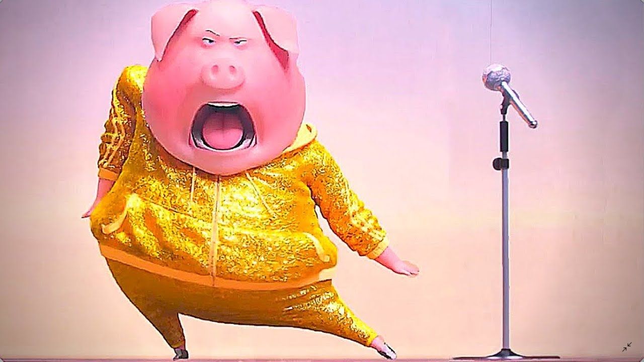 This fucking pig | Scrolller