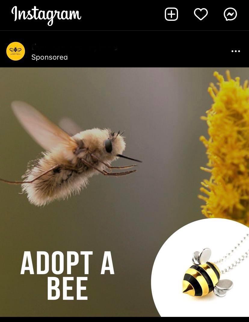 This Instagram advertisement to help save the bees features an image of a bee-fly, which is not ...