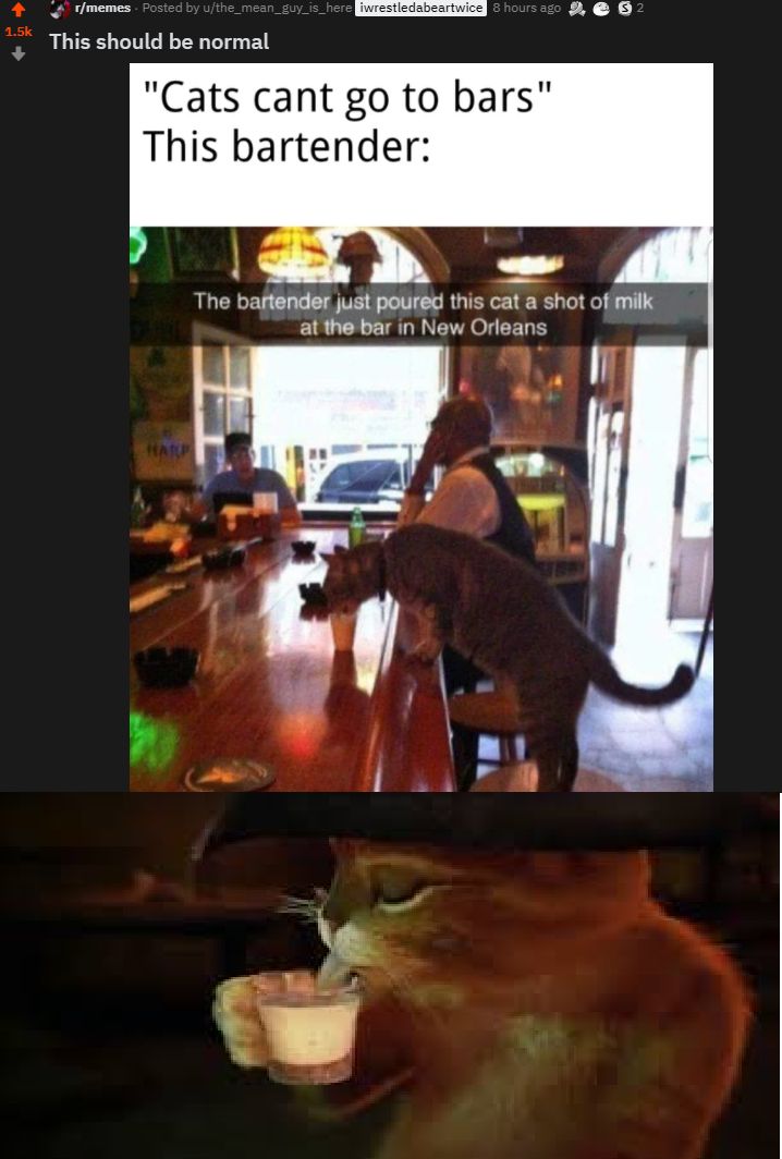 This is a certified meme | Scrolller