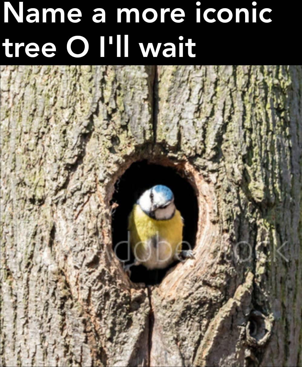 This is a low point | Scrolller