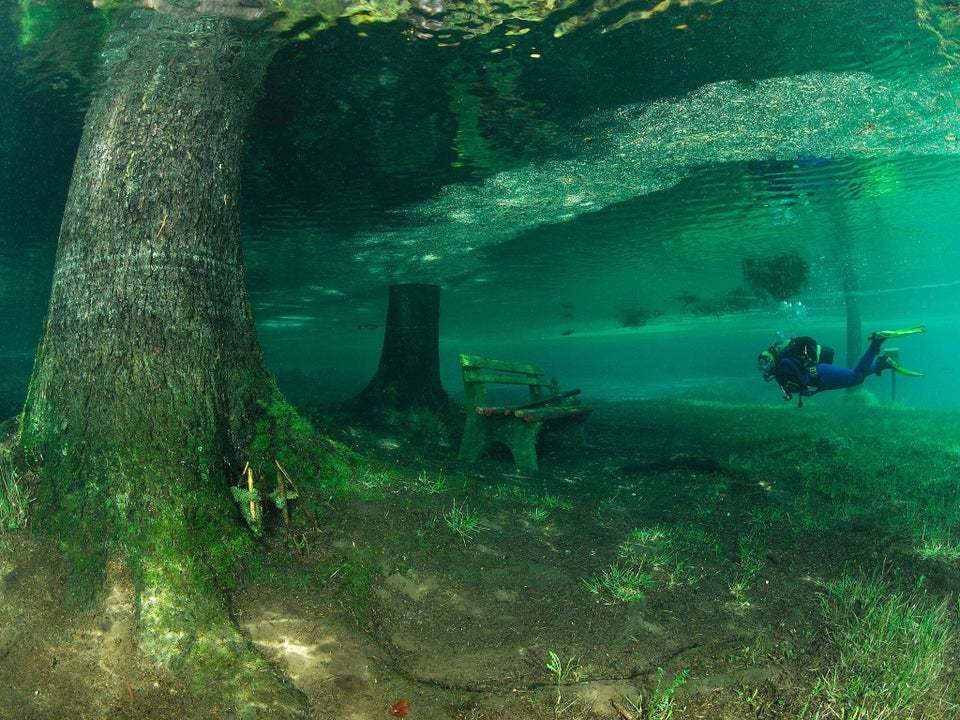 This is beautifully horrifying. | Scrolller