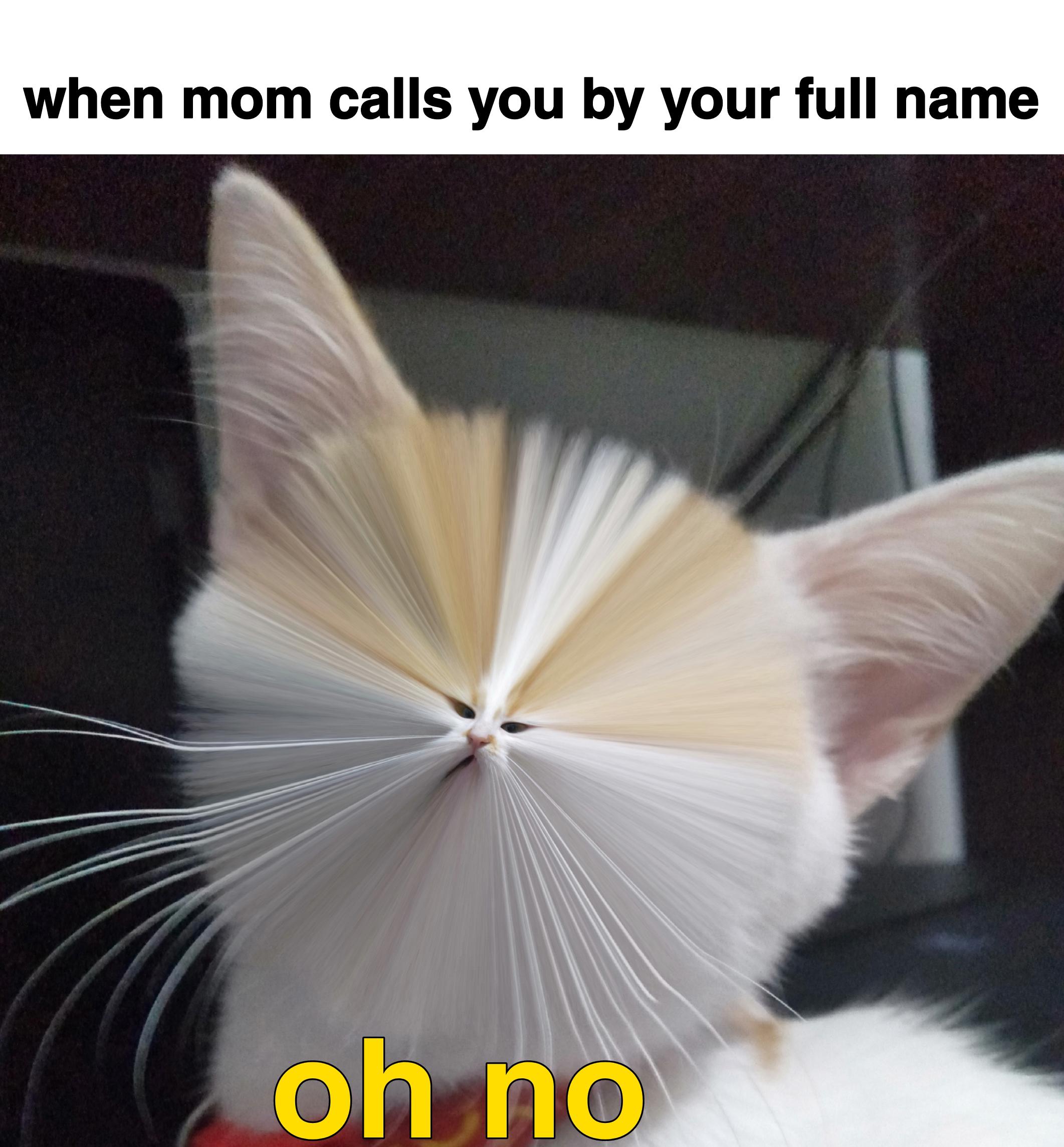 this is big panik | Scrolller