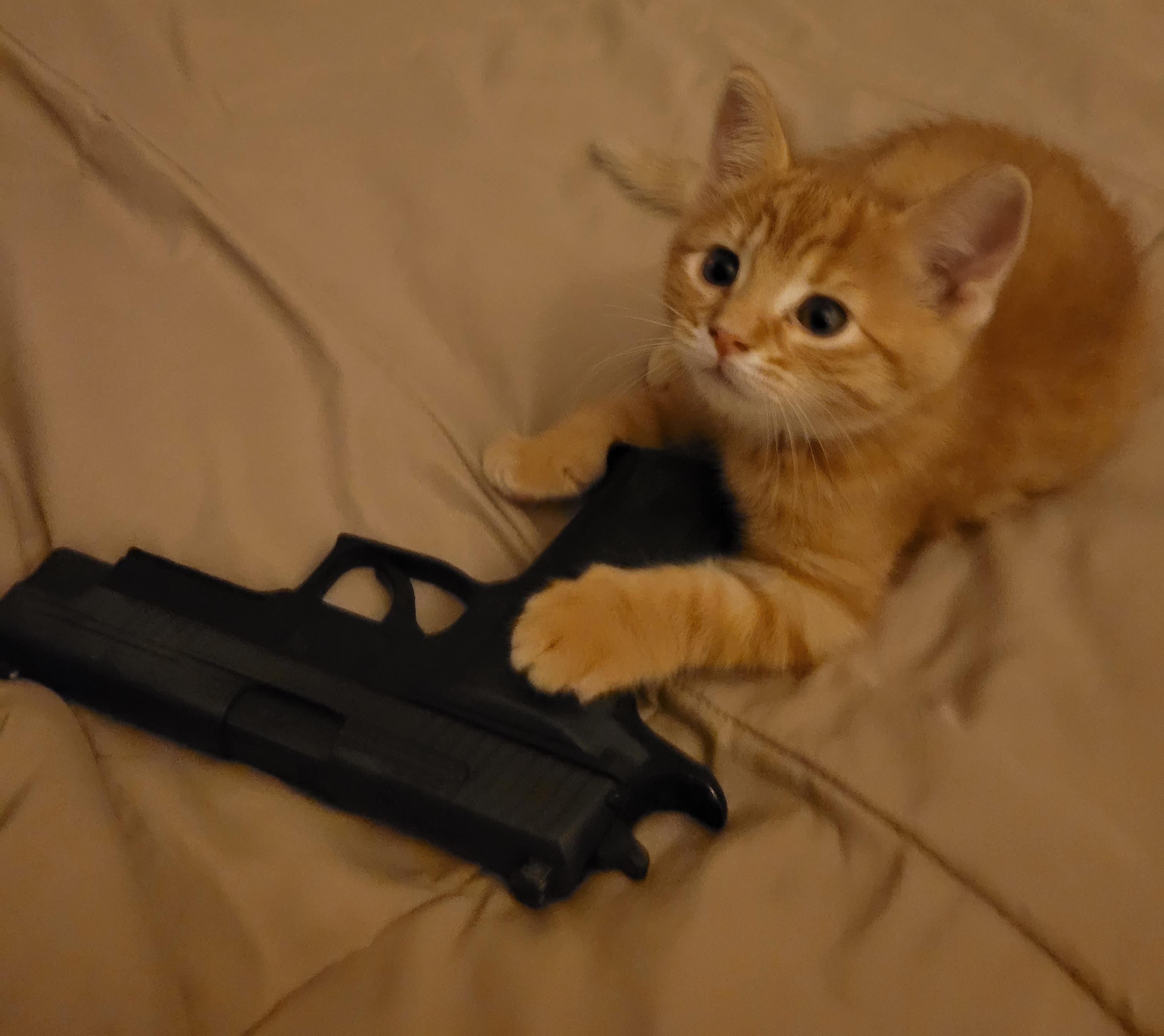 This is Cheese with his first gat. Gotta start em young. | Scrolller