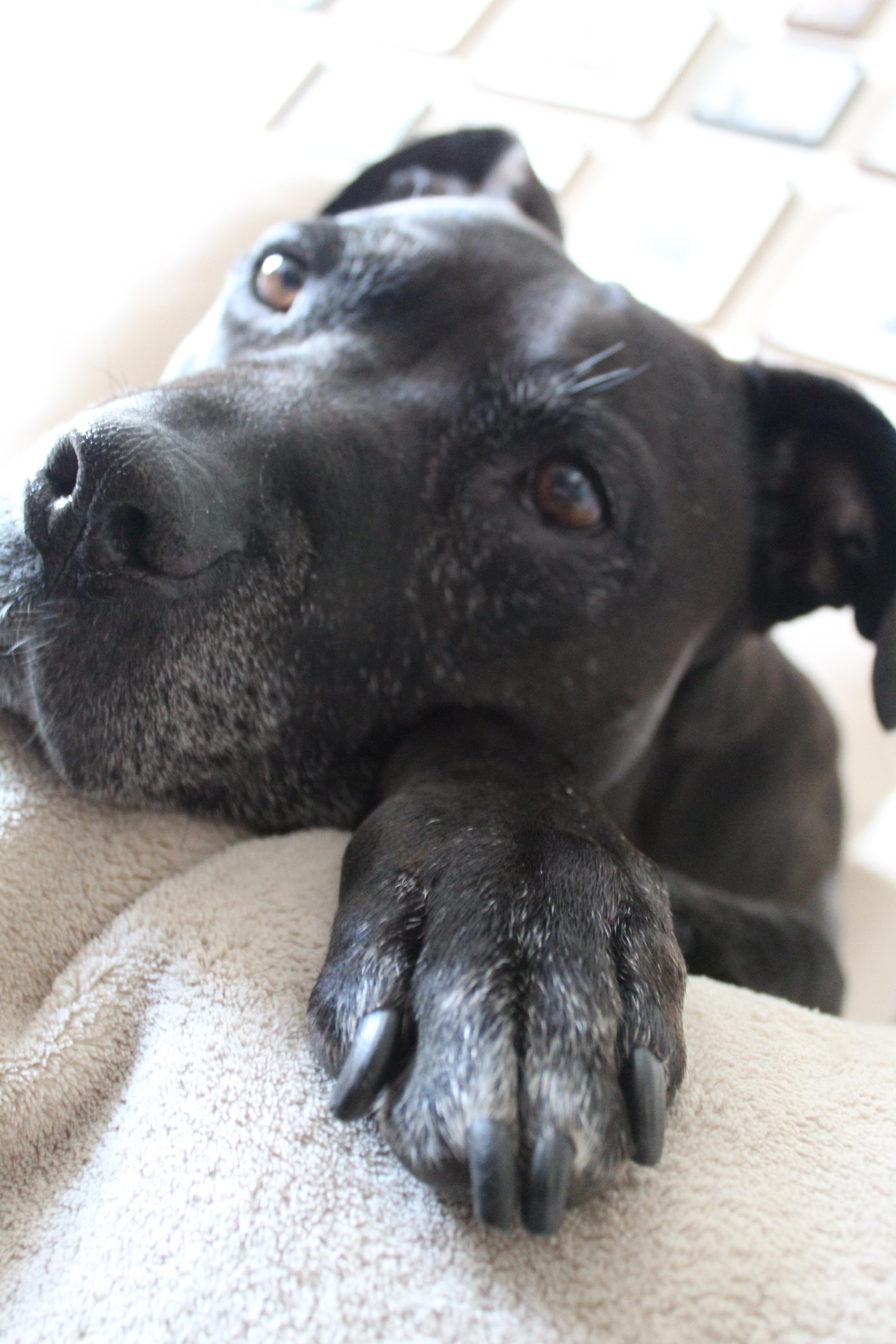 This is cleo | Scrolller