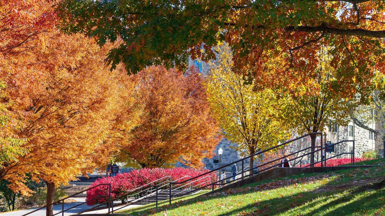 This is Home | Scrolller