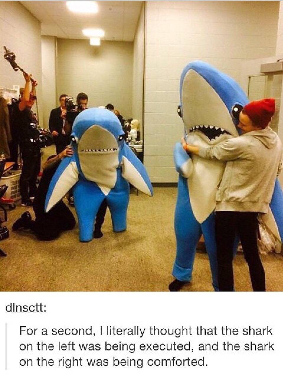 This is how you make a dead meme dead. | Scrolller