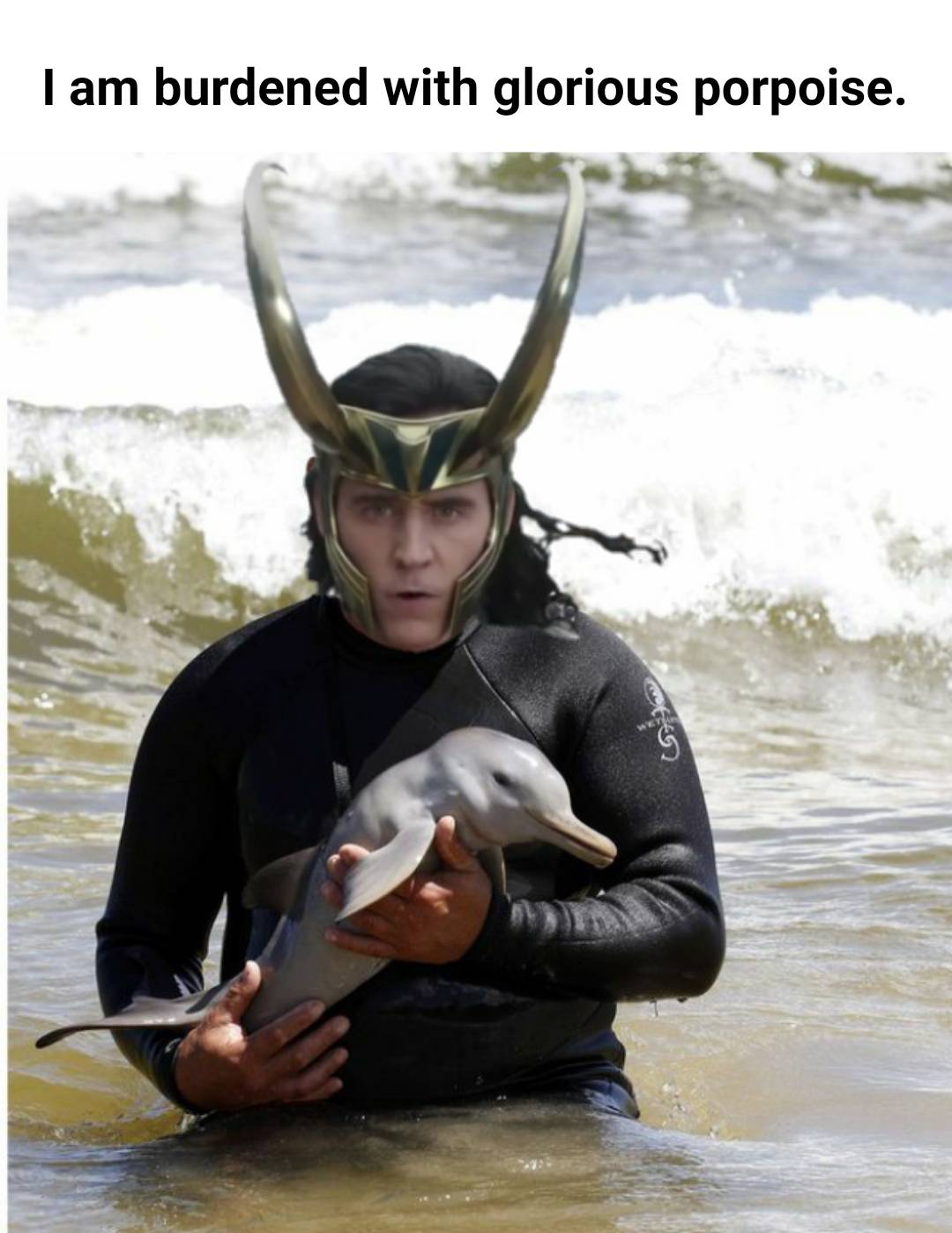 This is low key adorable. | Scrolller