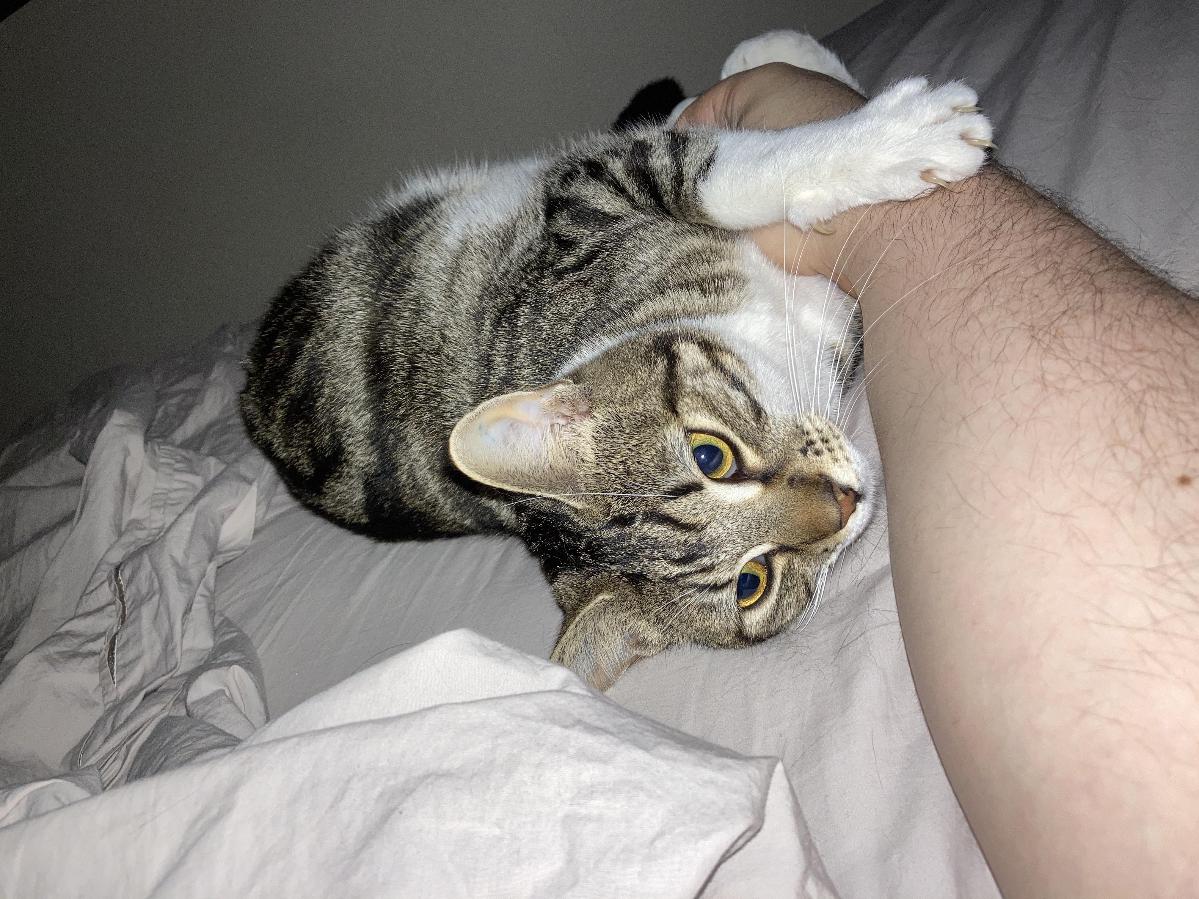 This is my arm now... | Scrolller