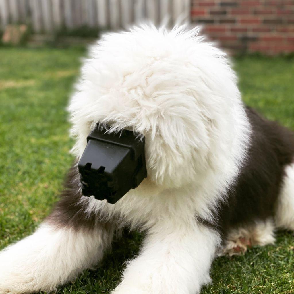 This is my little boy Ori | Scrolller