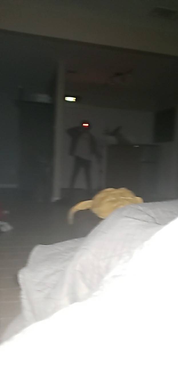 This is scary | Scrolller