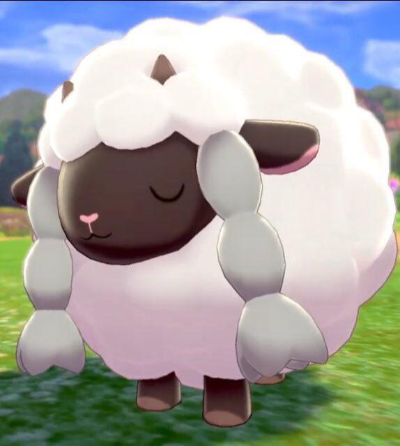 This is the purest little floof in the whole world | Scrolller