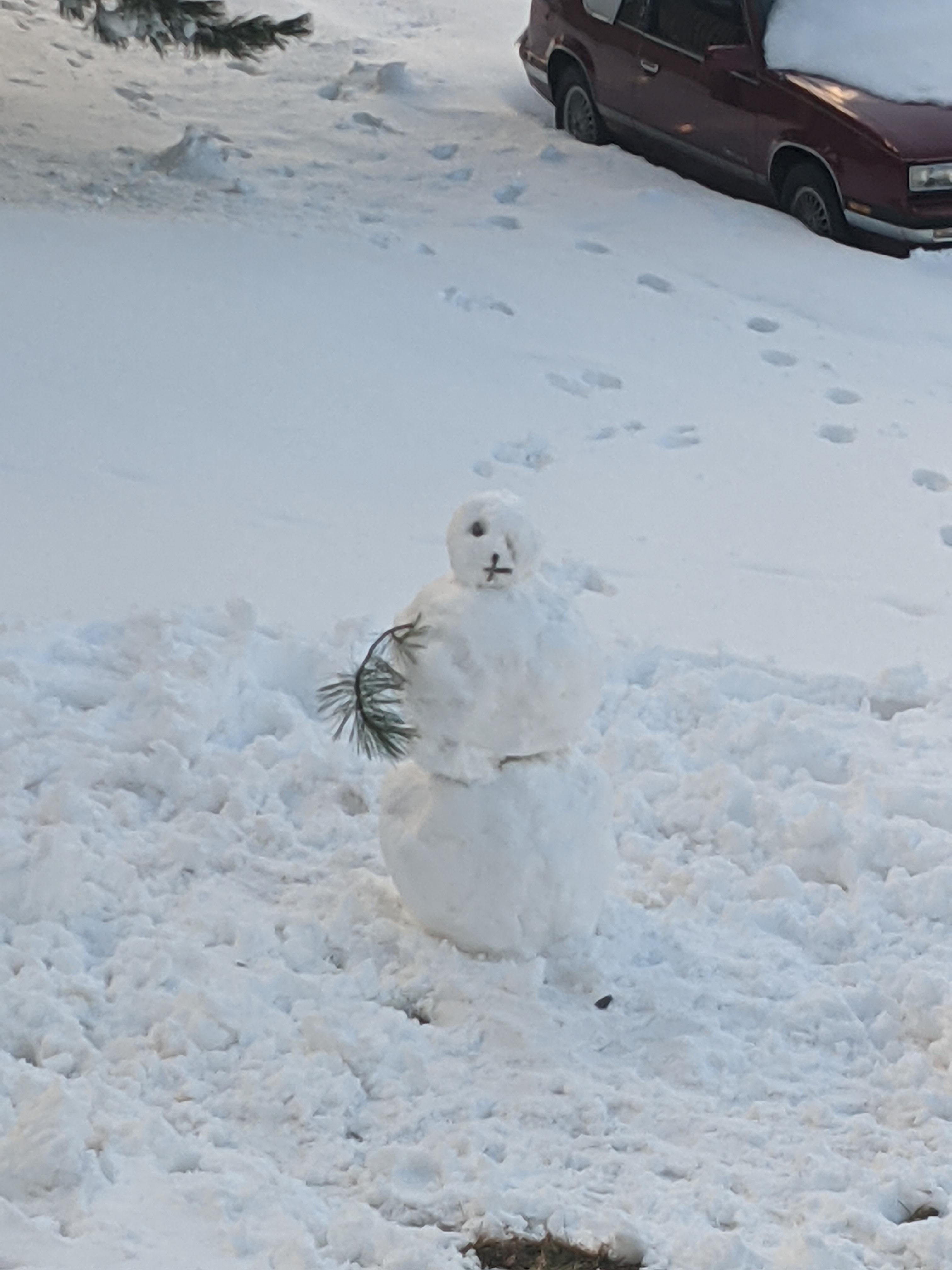 This is the view out of my living room window. The look of betrayal ...