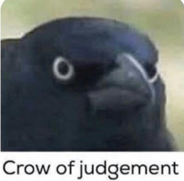 This judgememtal crow | Scrolller