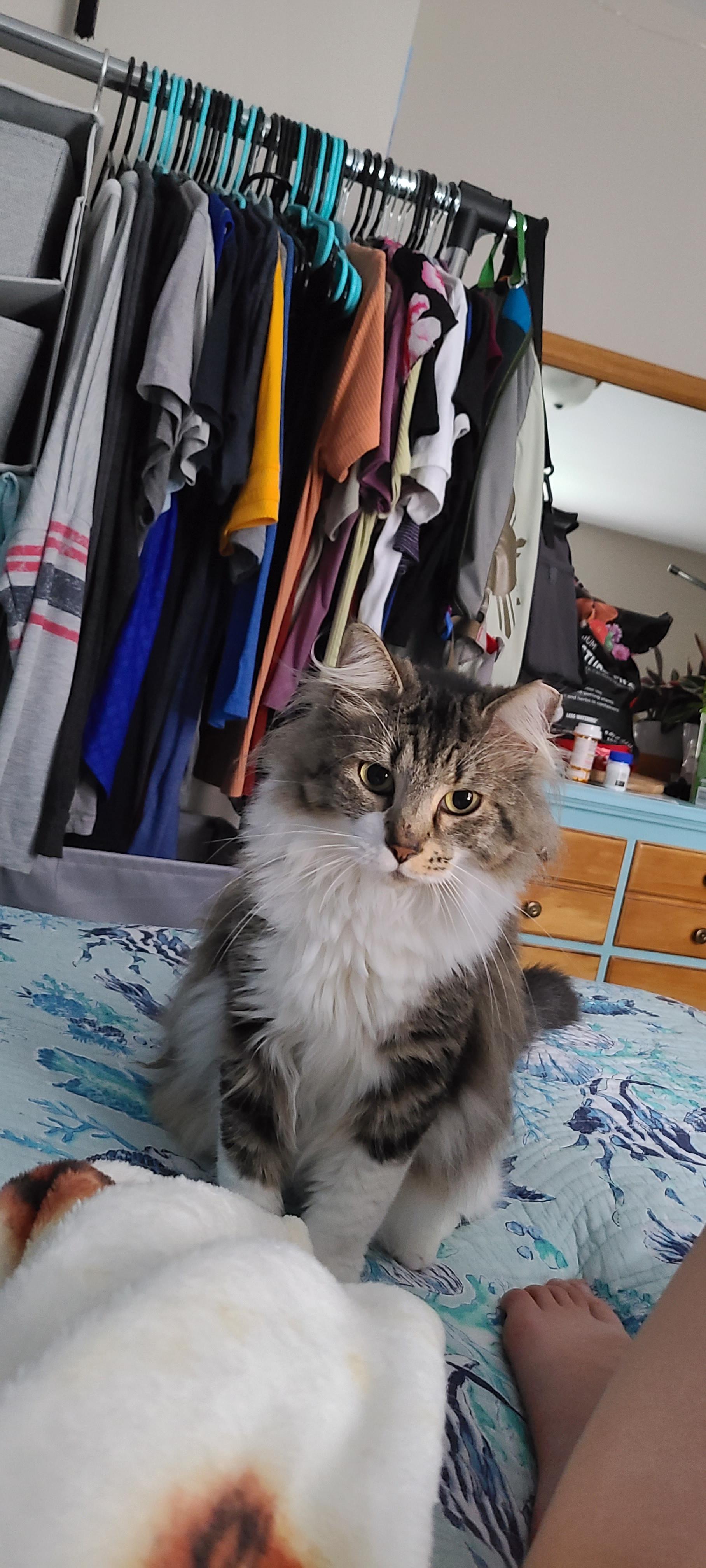 This little floof turned two today! | Scrolller