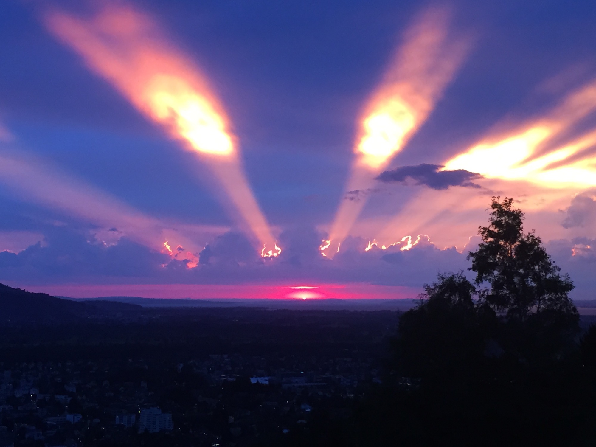 This might be the definition of this sub! | Scrolller