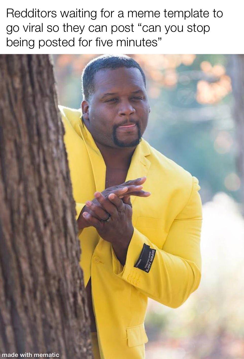 This might not be the right picture | Scrolller