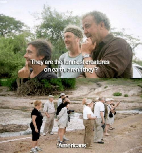 this never gets old | Scrolller