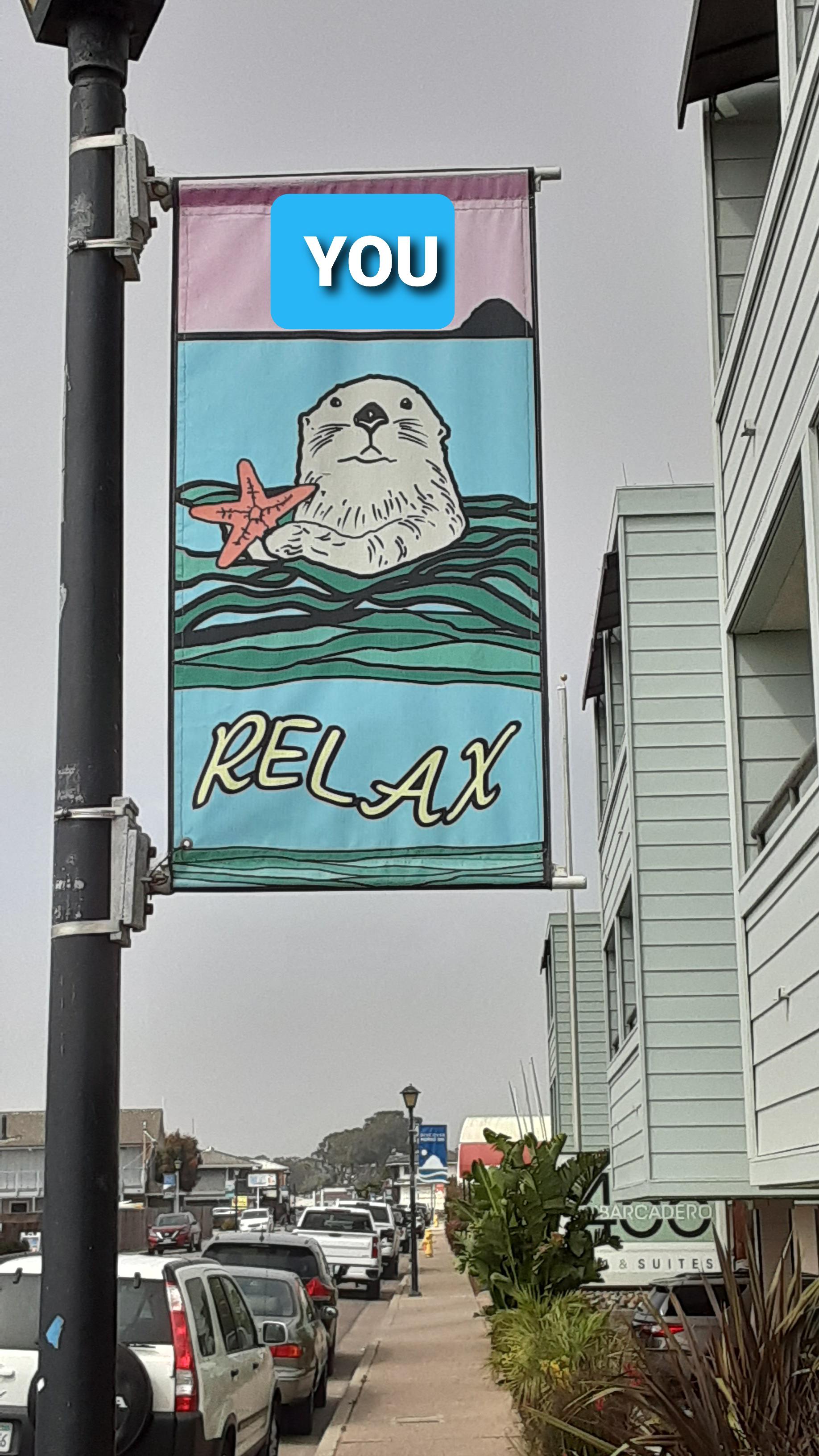 This otter be interesting. | Scrolller