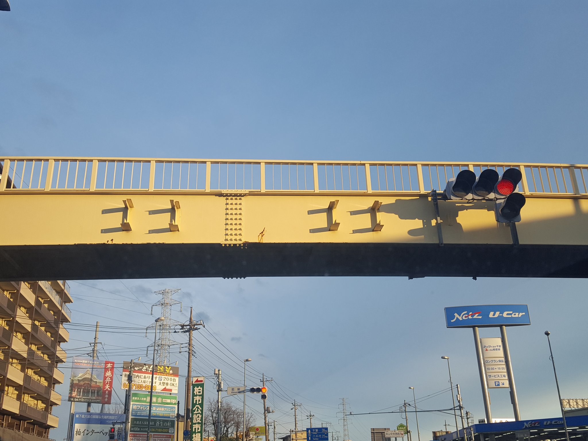 This pedestrian bridge | Scrolller