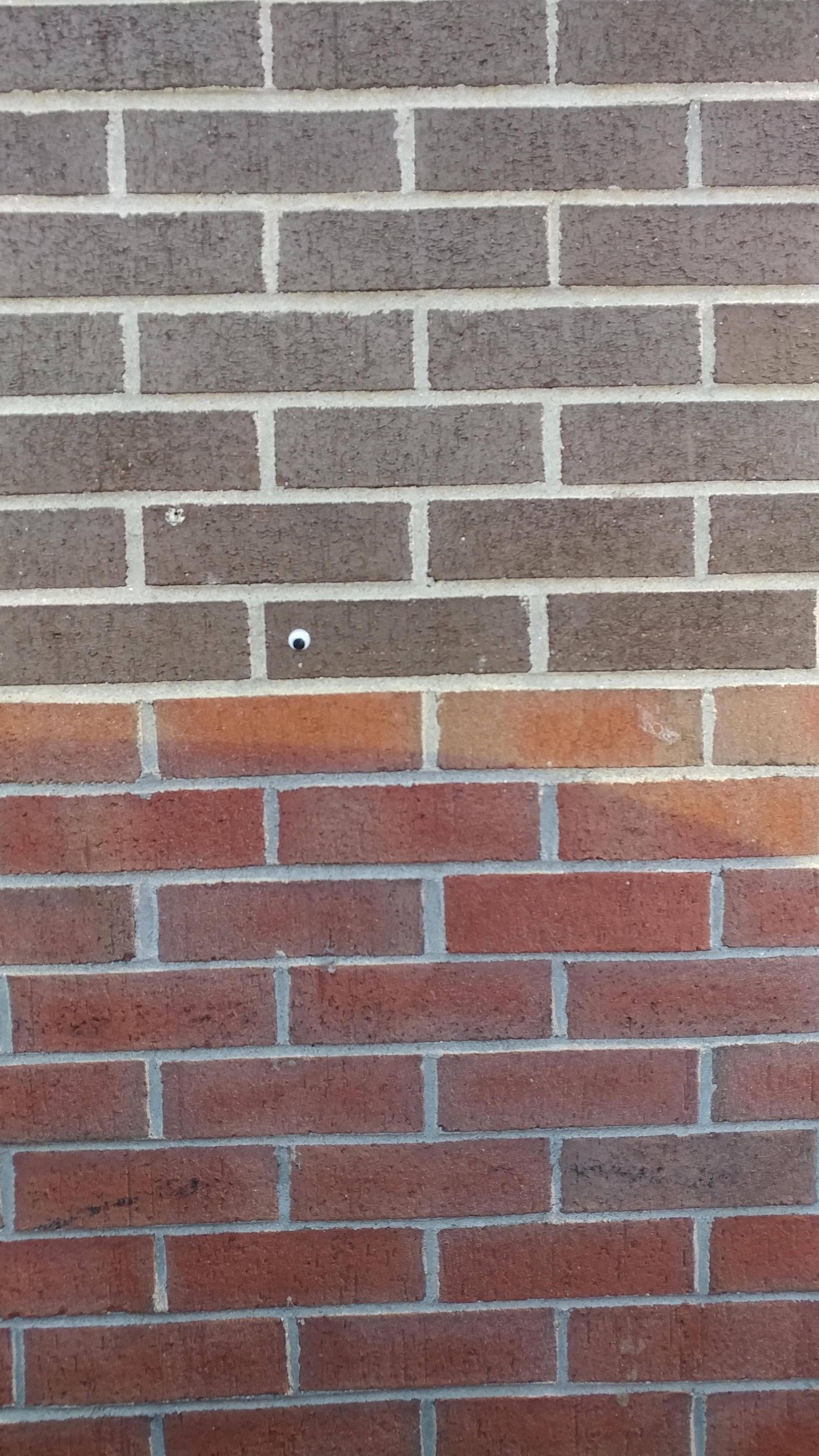 This poor cyclops in the drive thru. | Scrolller