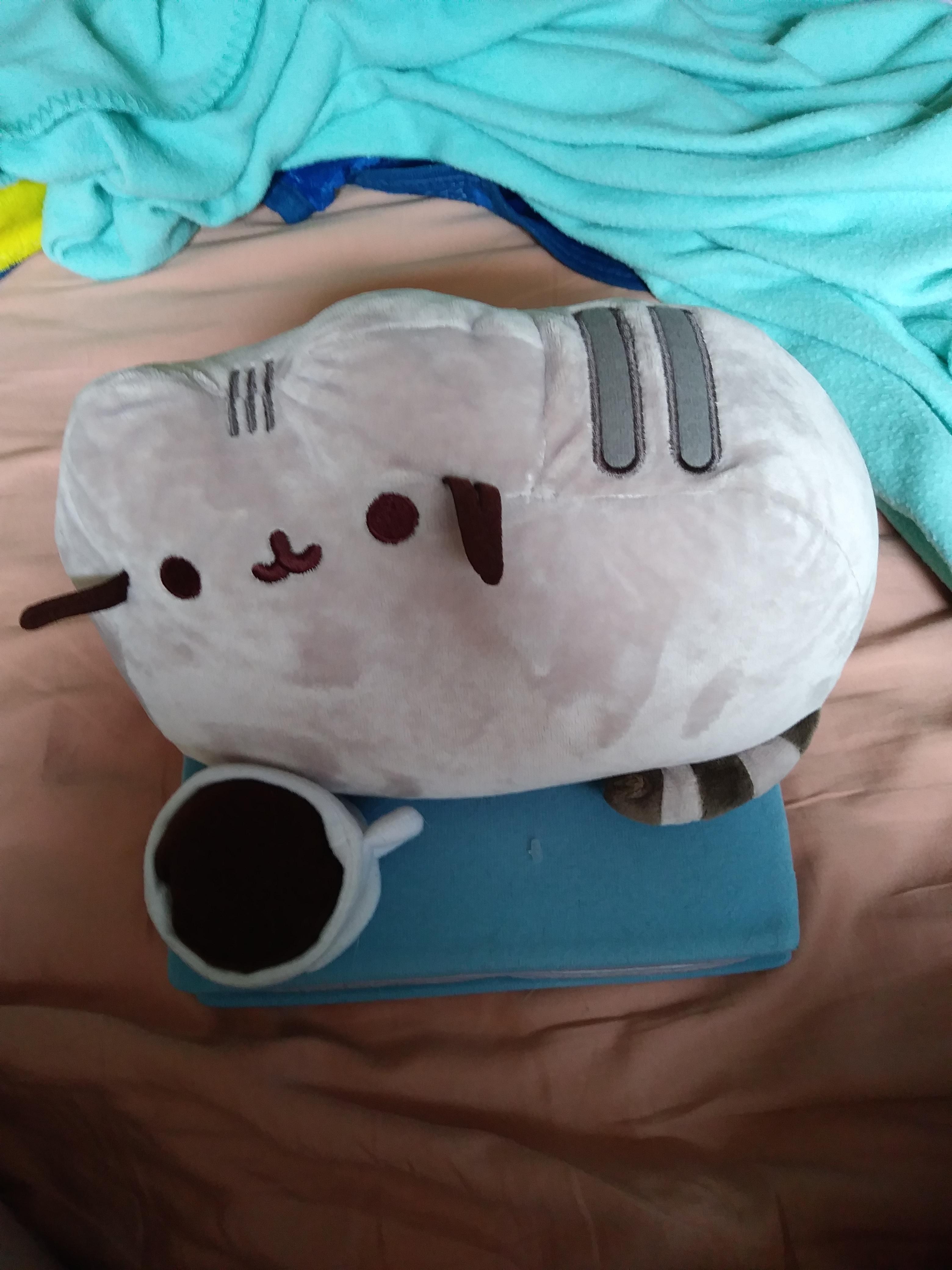 This Pusheen knows exactly how to spend an overcast, indoor, lazy day. | Scrolller