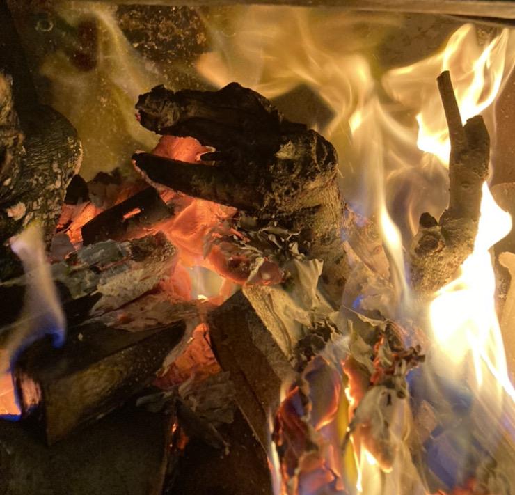 This roaring T-Rex onfire | Scrolller