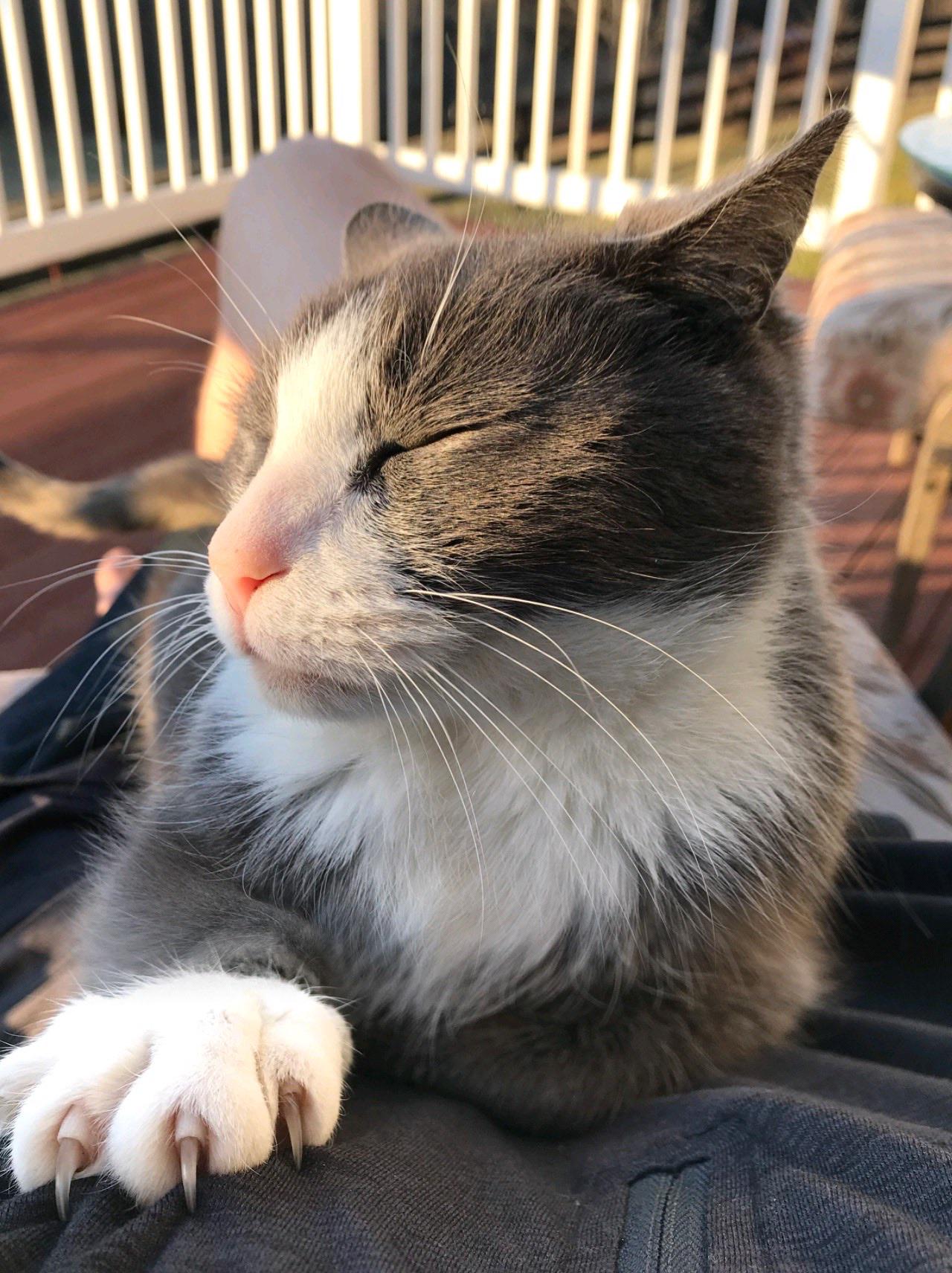 This shot was worth the claw in my nip | Scrolller