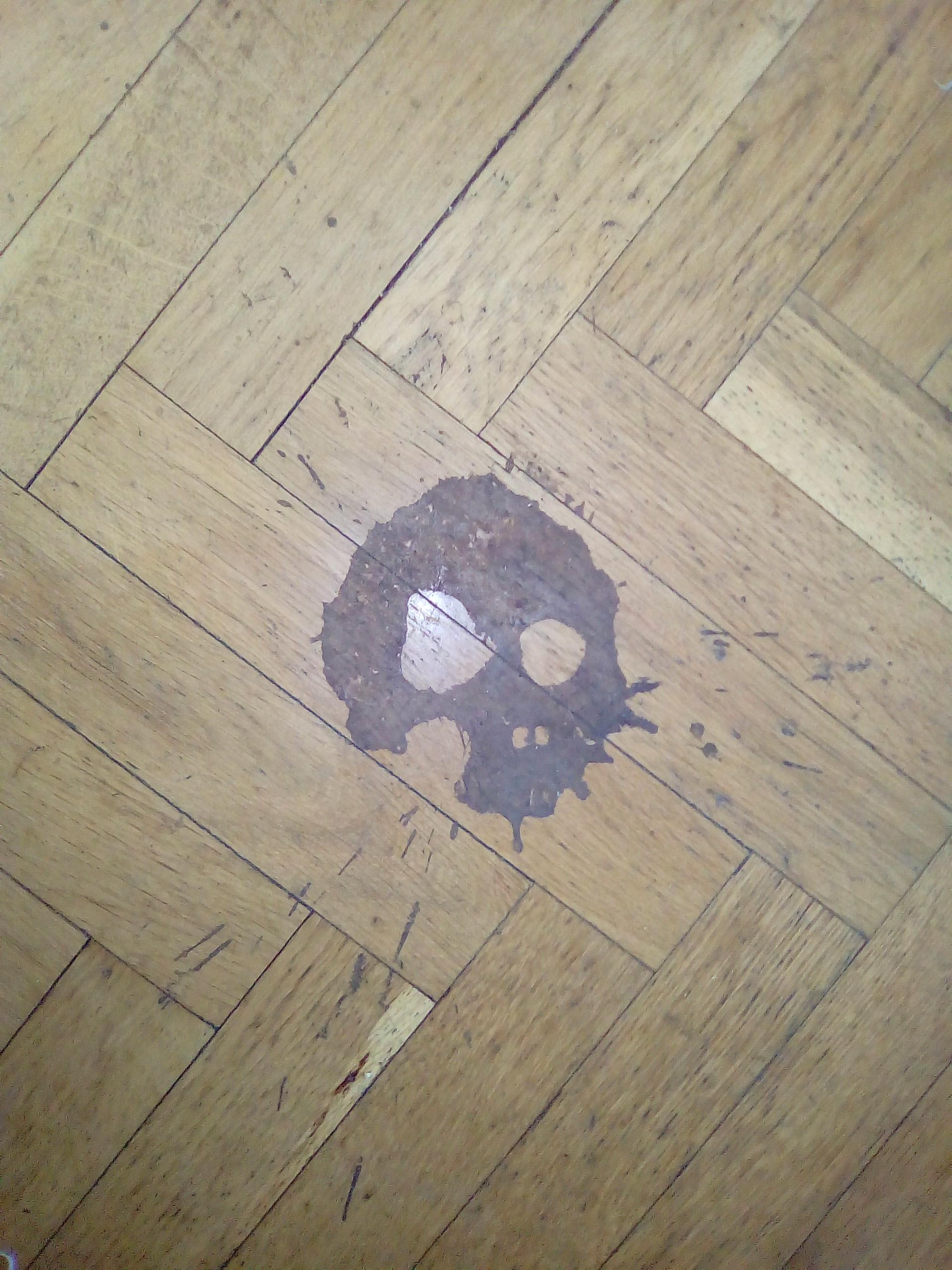 This stain on my floor | Scrolller