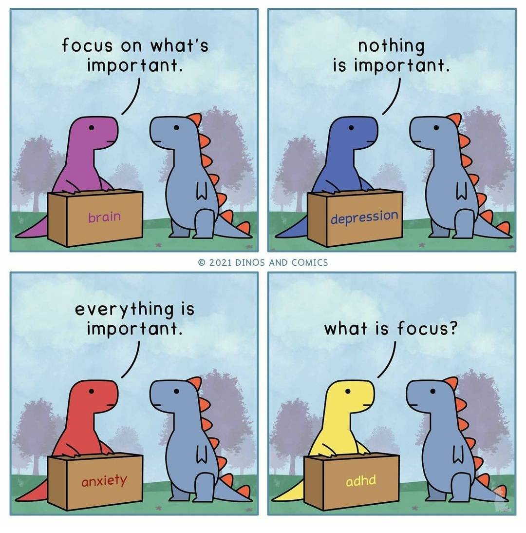 This sums it up | Scrolller