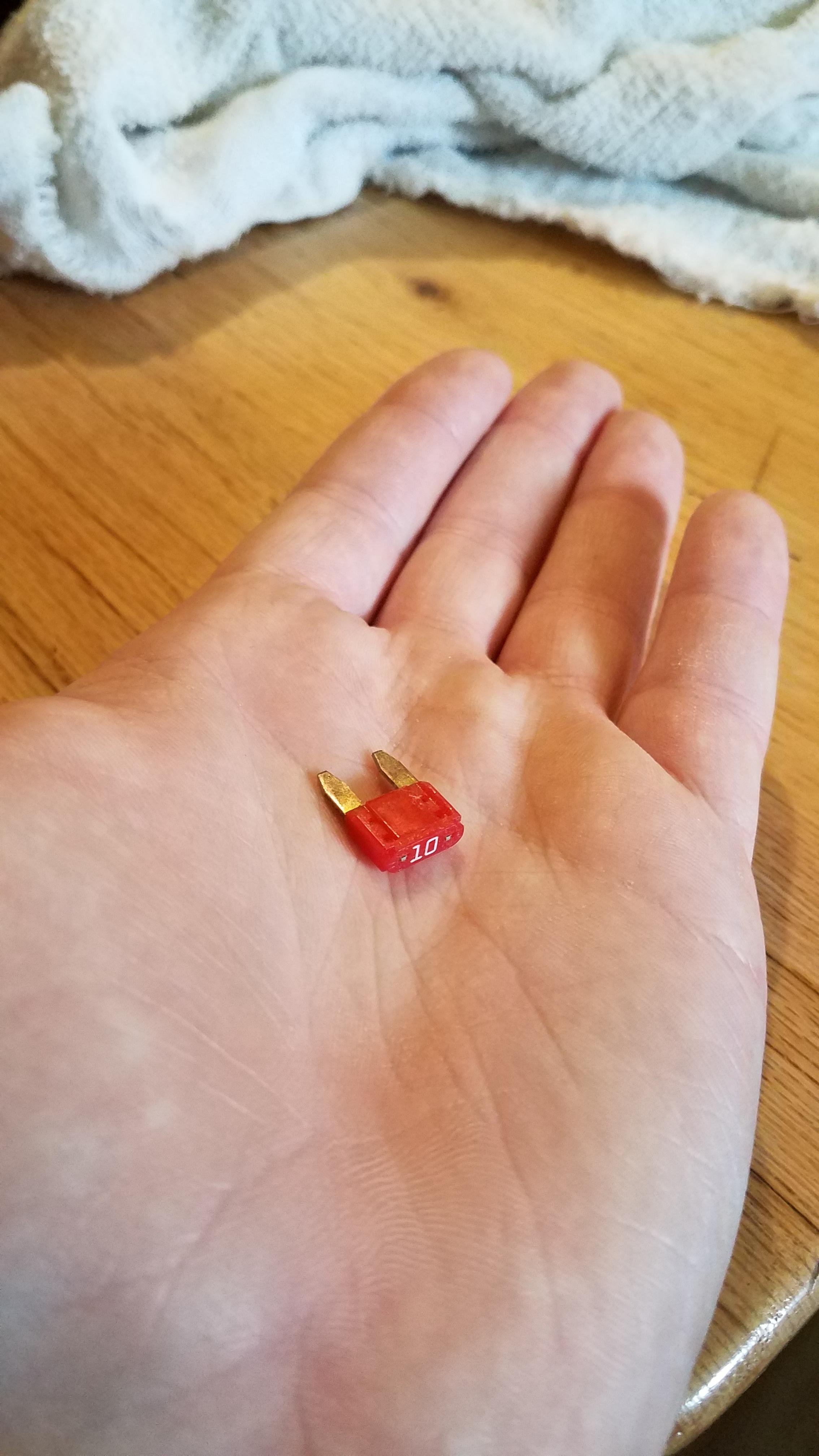 This tiny 10 amp automotive fuse | Scrolller