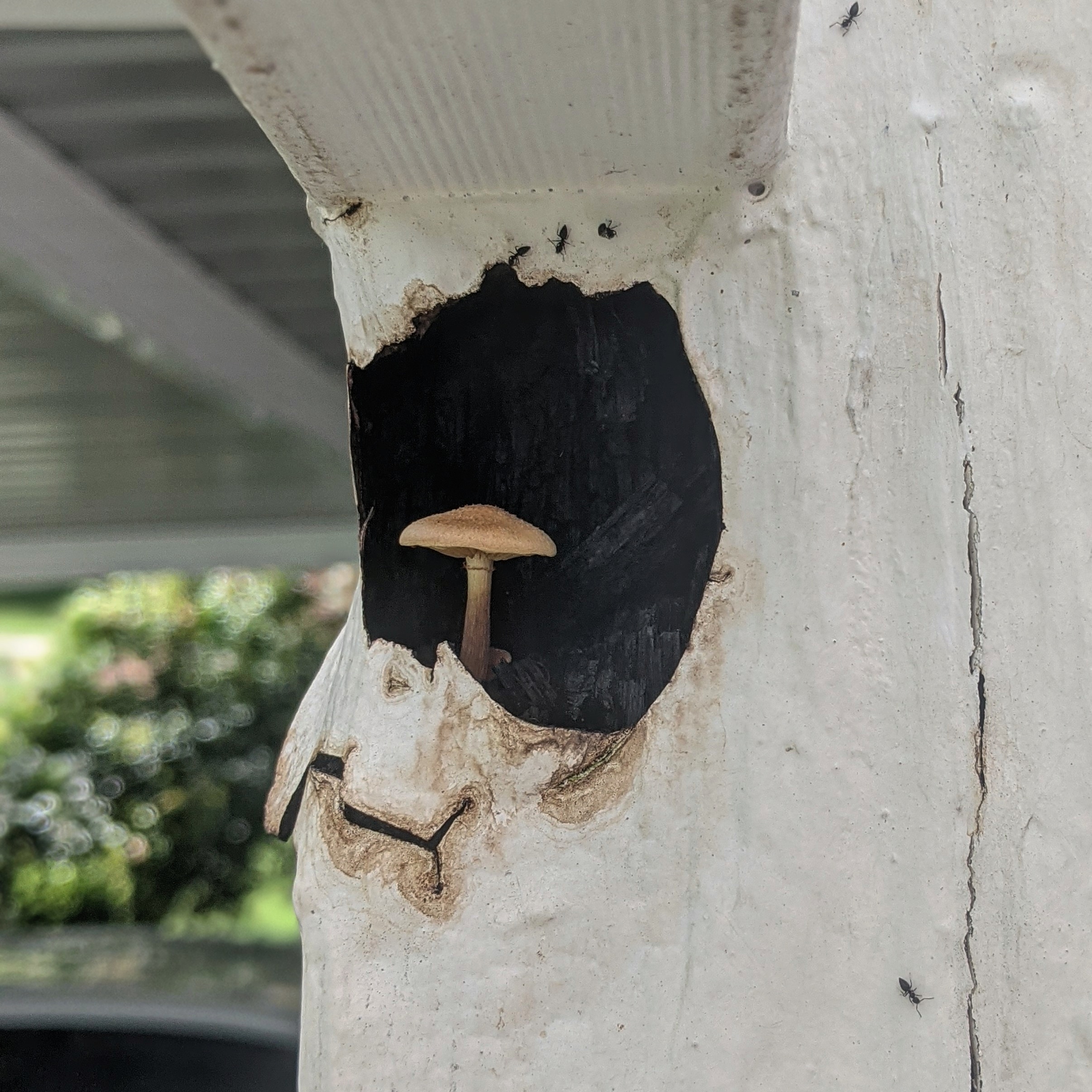 This was a cool find. | Scrolller