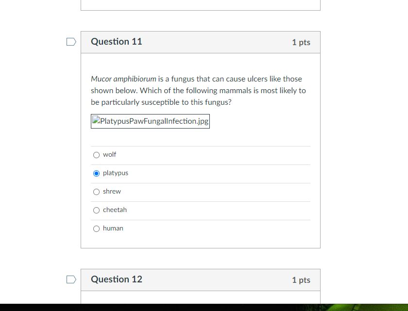 This was on a Quercus quiz | Scrolller