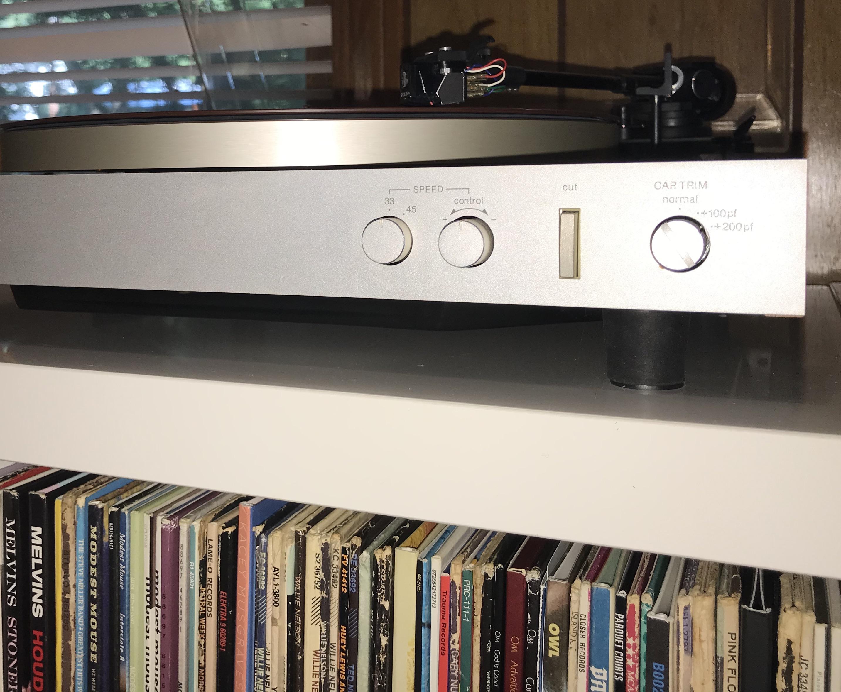 This weeks project: new feet! | Scrolller