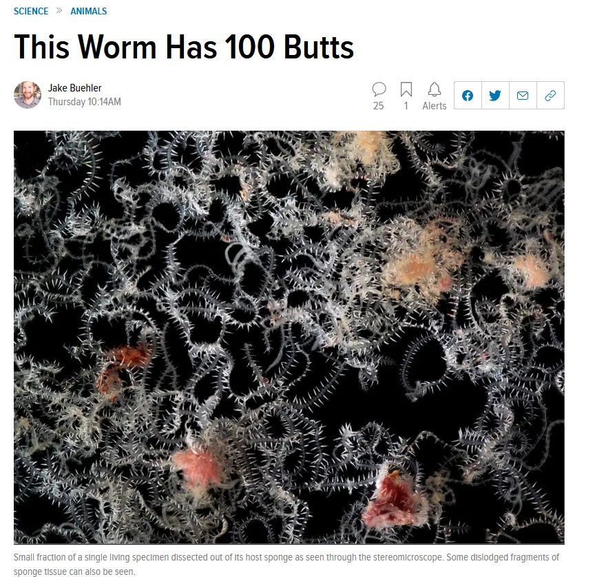 This worm has 100 butts | Scrolller