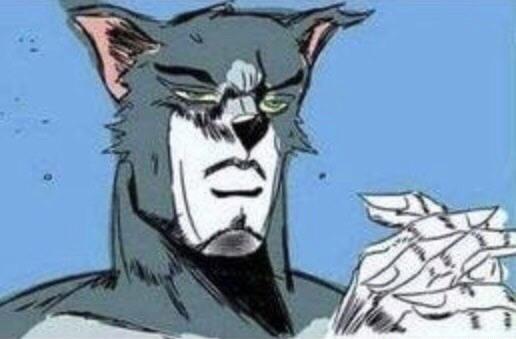 Thomas “Tom” the Cat | Scrolller