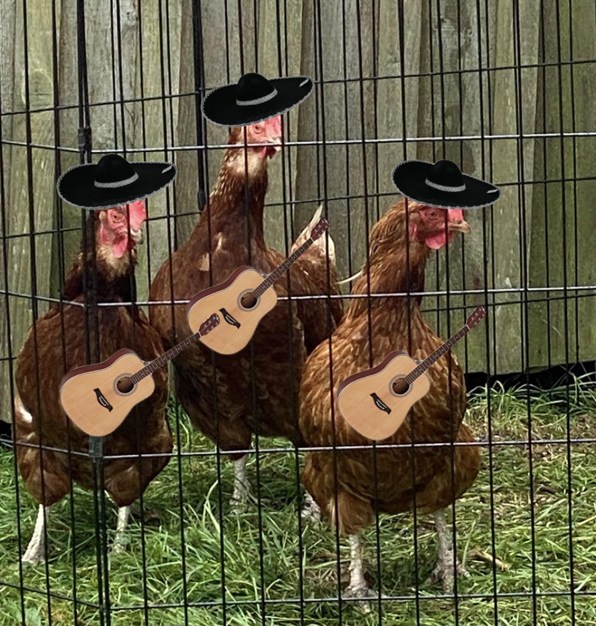 three amigos | Scrolller