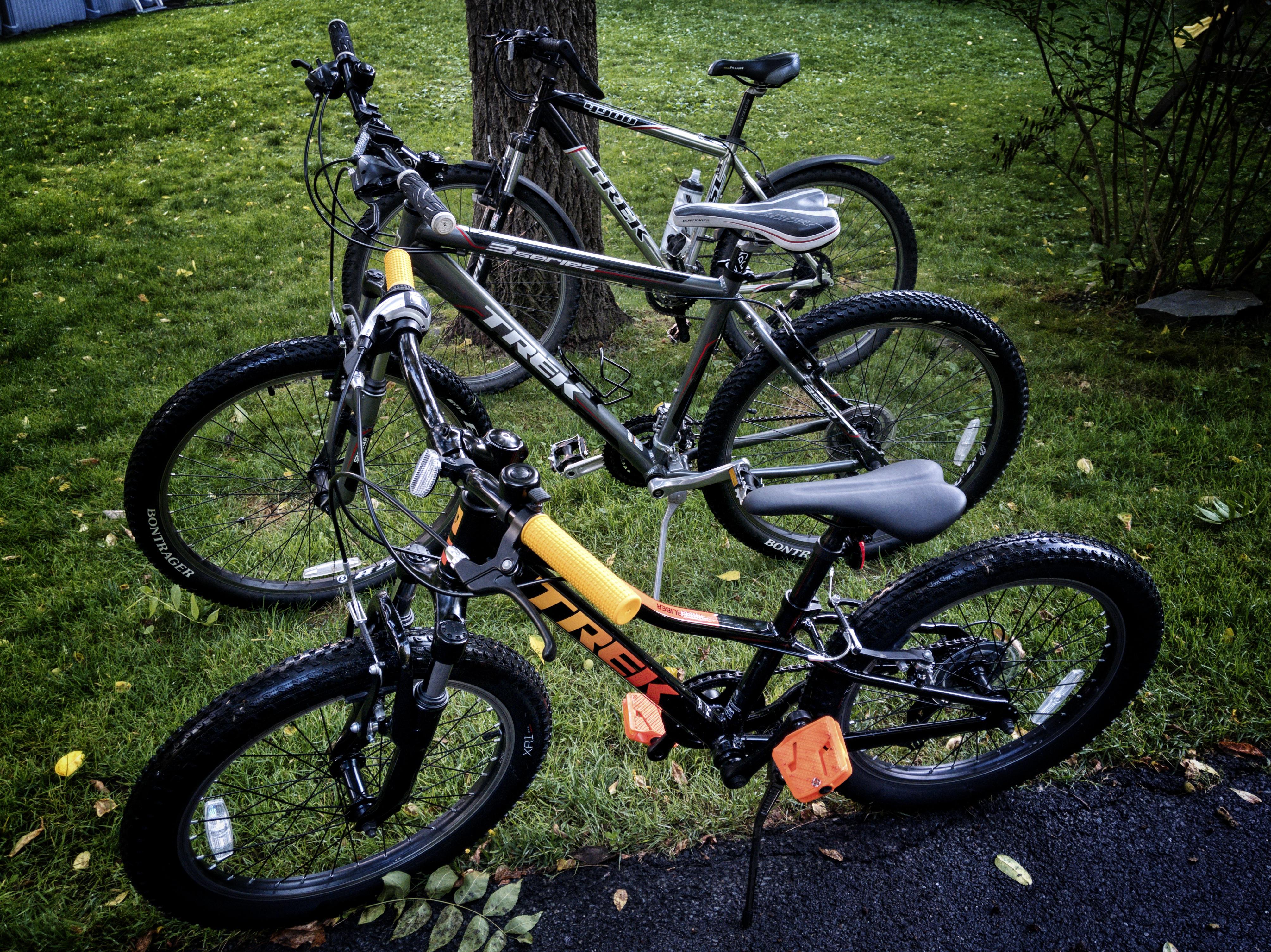 Three generations of Treks | Scrolller