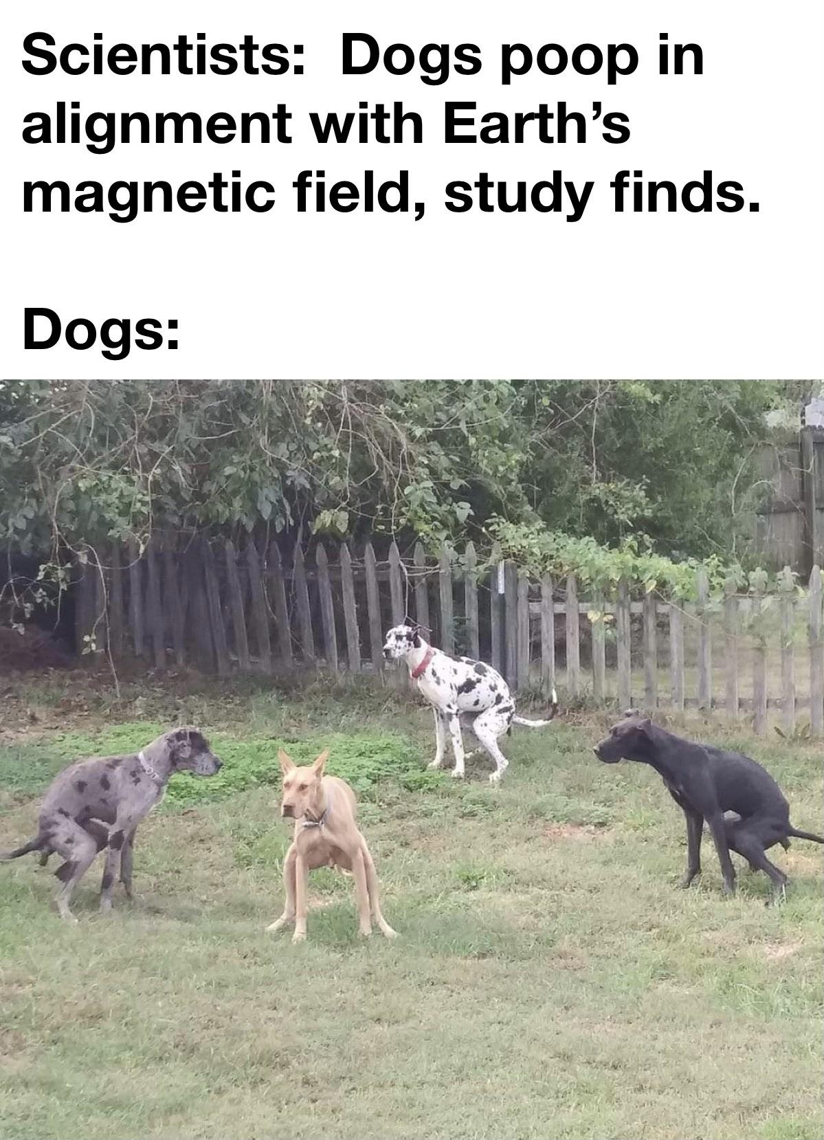 Trust the science | Scrolller