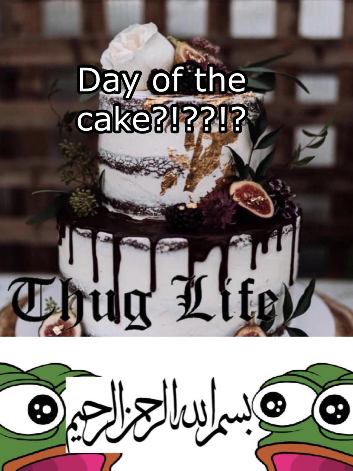 Thug life ? 😎🙏 | Scrolller