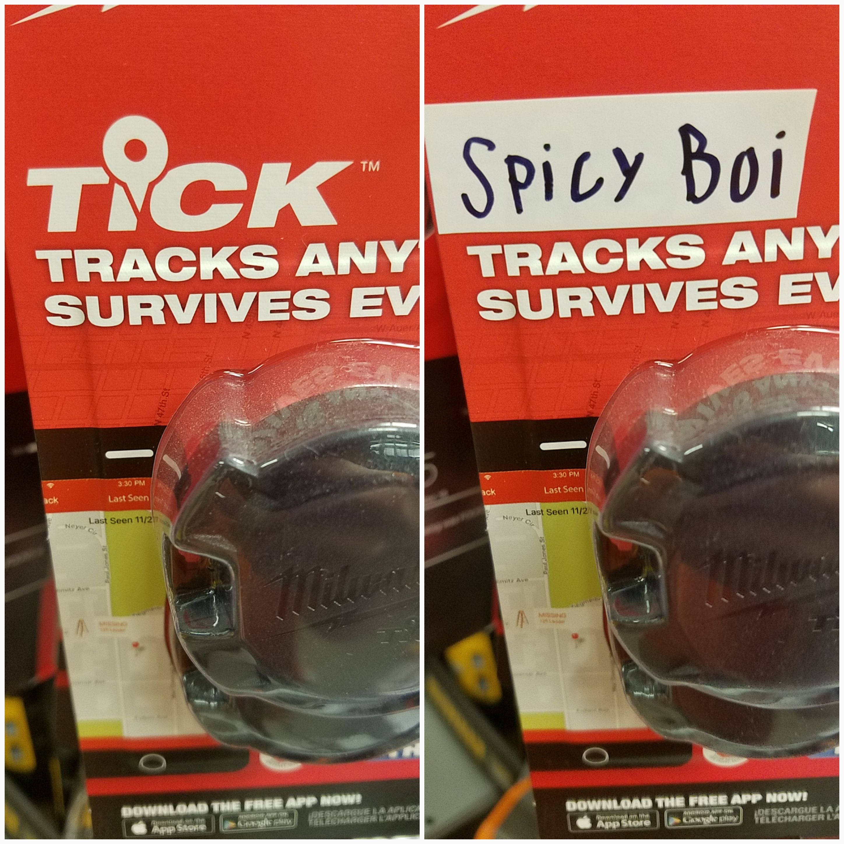 ticks_irl | Scrolller