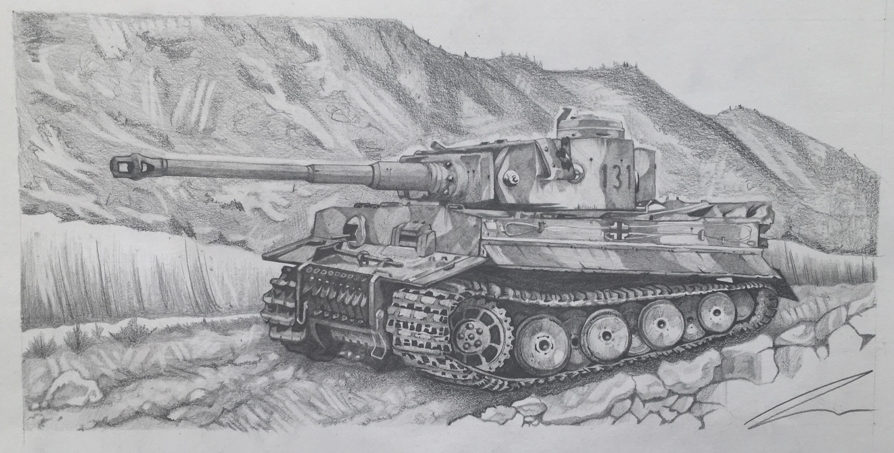 Tiger 131 sketch | Scrolller